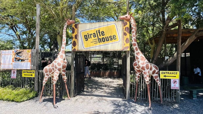 Best Zoos in Cape Town | Petting Parks - WeSearchSA